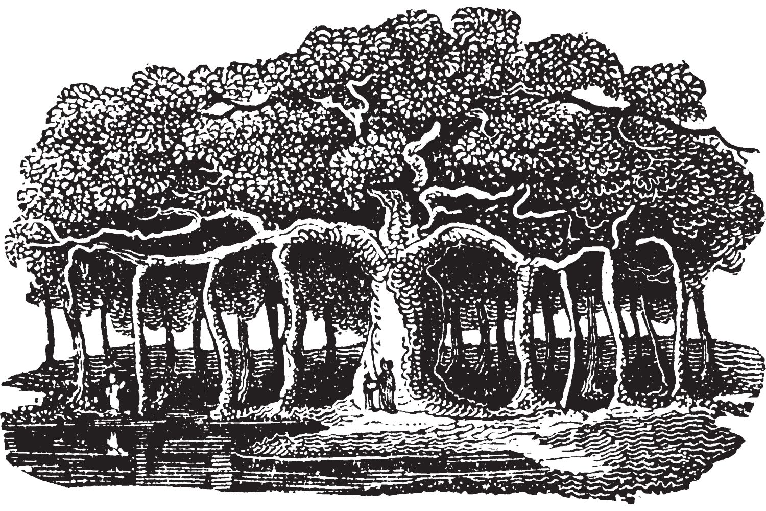 Human Cloud: Study Groups - Human Cloud